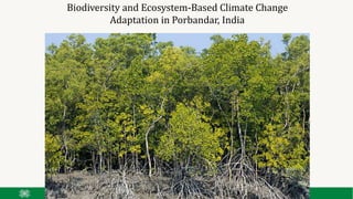 Biodiversity and Ecosystem-Based Climate Change Adaptation in Porbandar, India | PPT