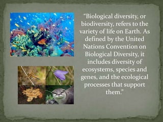Biodiversity and Ecosystems Loss | PPTX