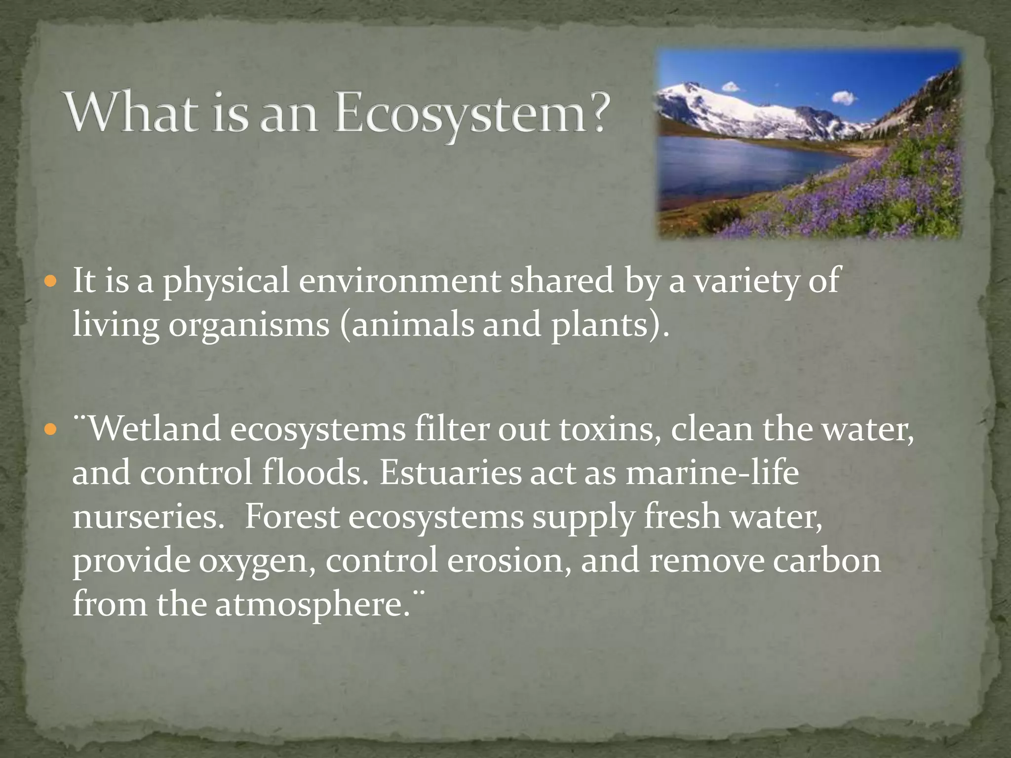 Biodiversity and ecosystems loss | PPTX