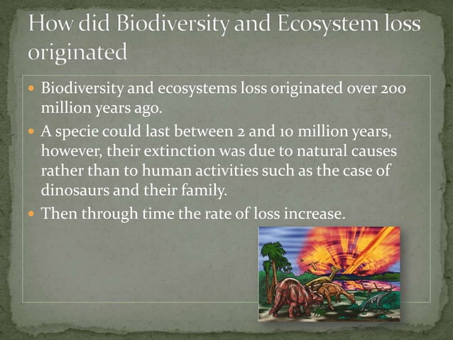 Biodiversity and ecosystems loss | PPTX