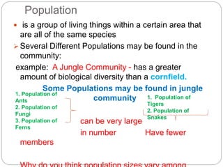 Biodiversity and Evolution | PPTX