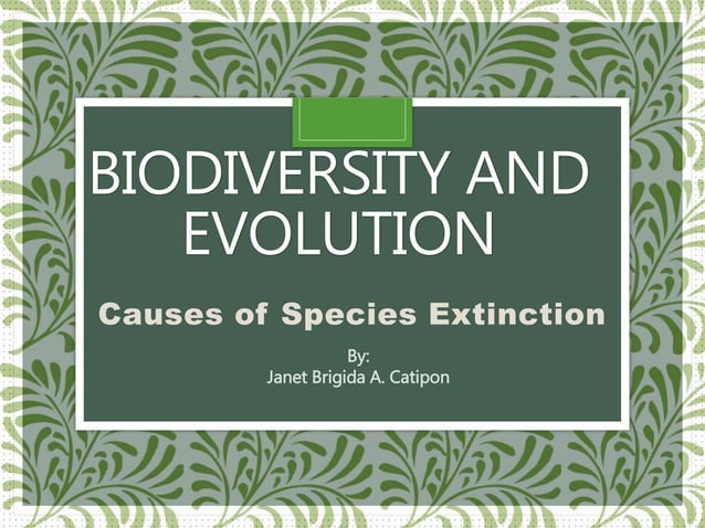 Biodiversity and evolution | PPTX | Science