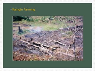 Biodiversity and evolution | PPTX