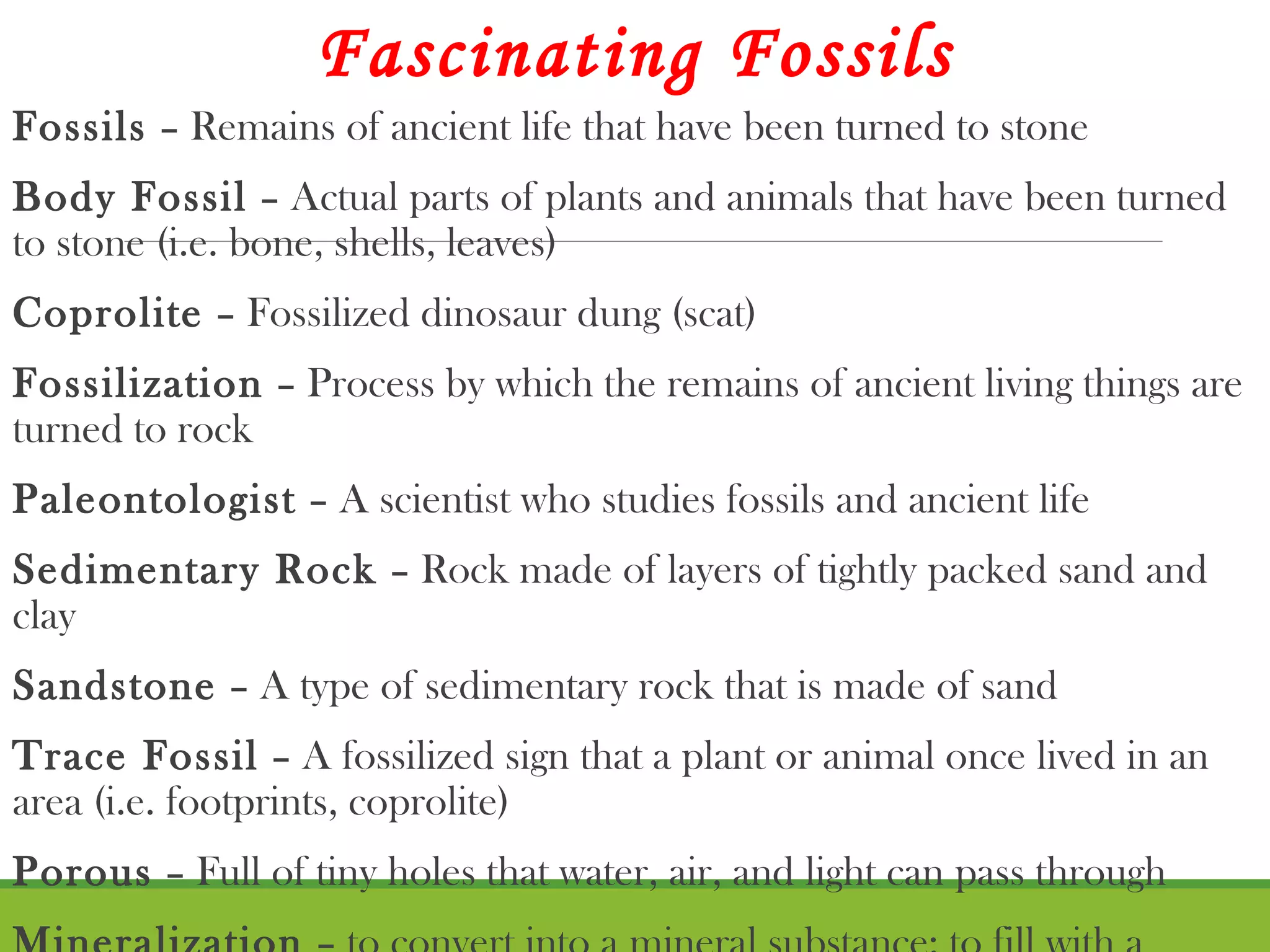 Biodiversity and Evolution | PPT