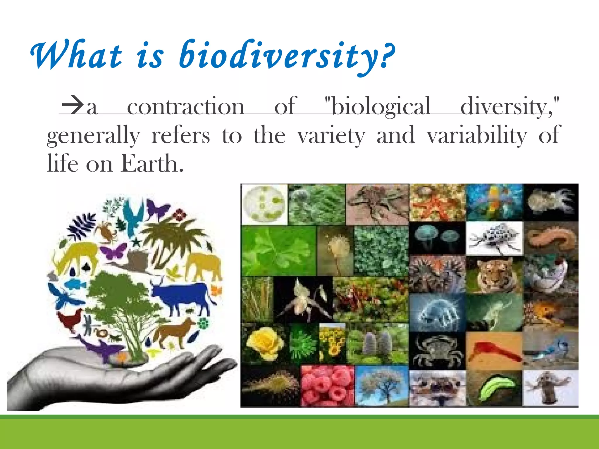 Biodiversity and Evolution | PPT