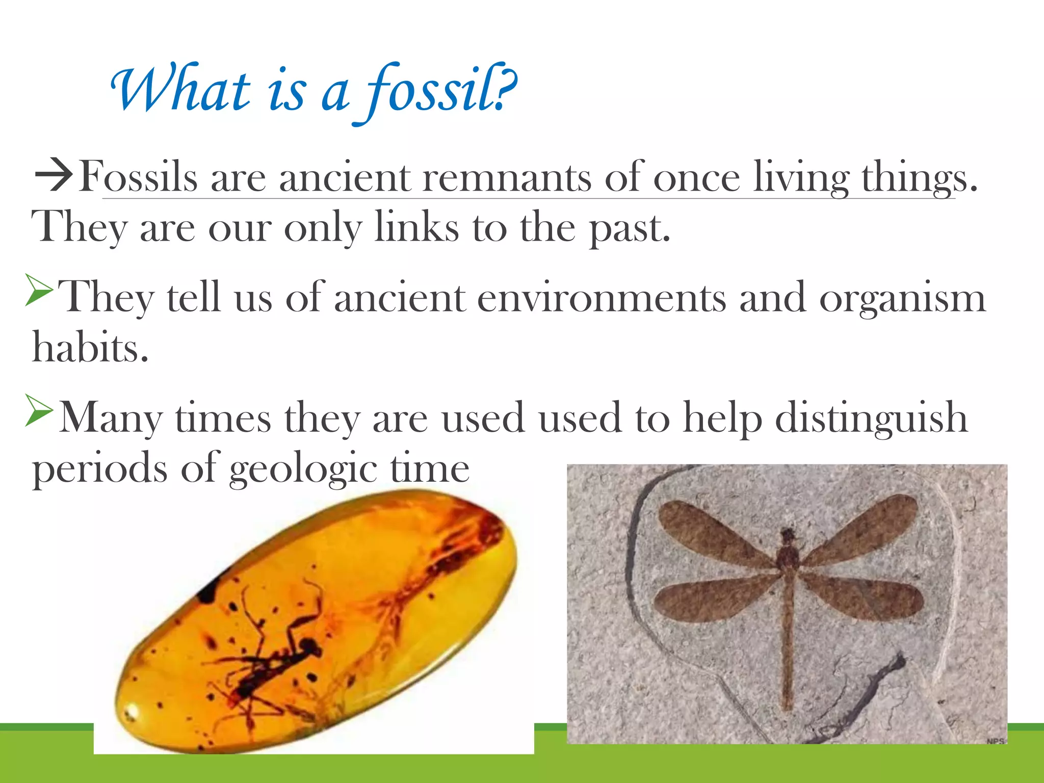 Biodiversity and Evolution | PPT