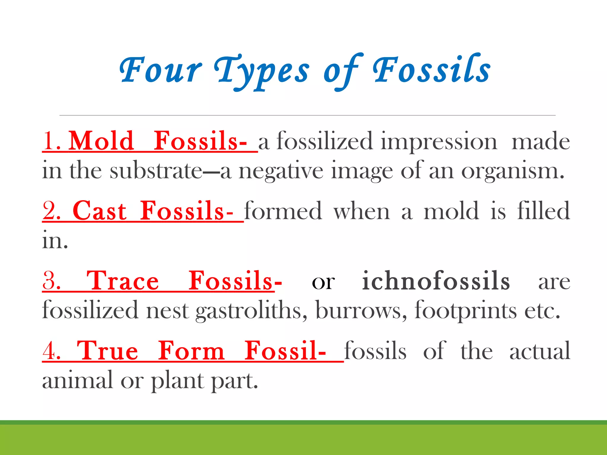 Biodiversity and Evolution | PPT