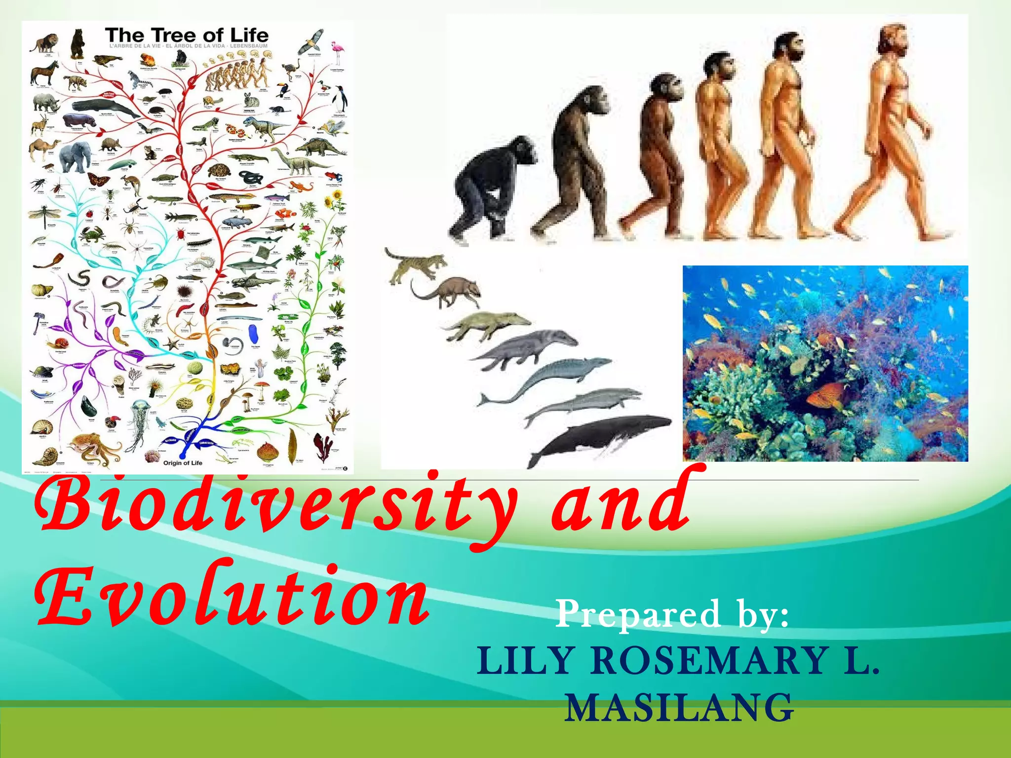 Biodiversity and Evolution | PPT