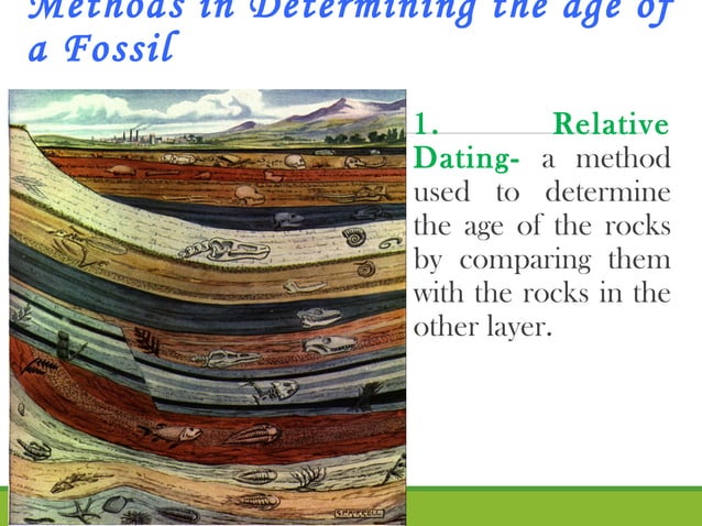 Biodiversity and Evolution | PPT | Geology | Science