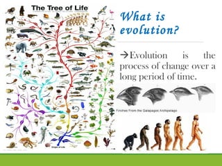 Biodiversity and Evolution | PPT