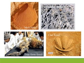 Biodiversity and Evolution | PPT