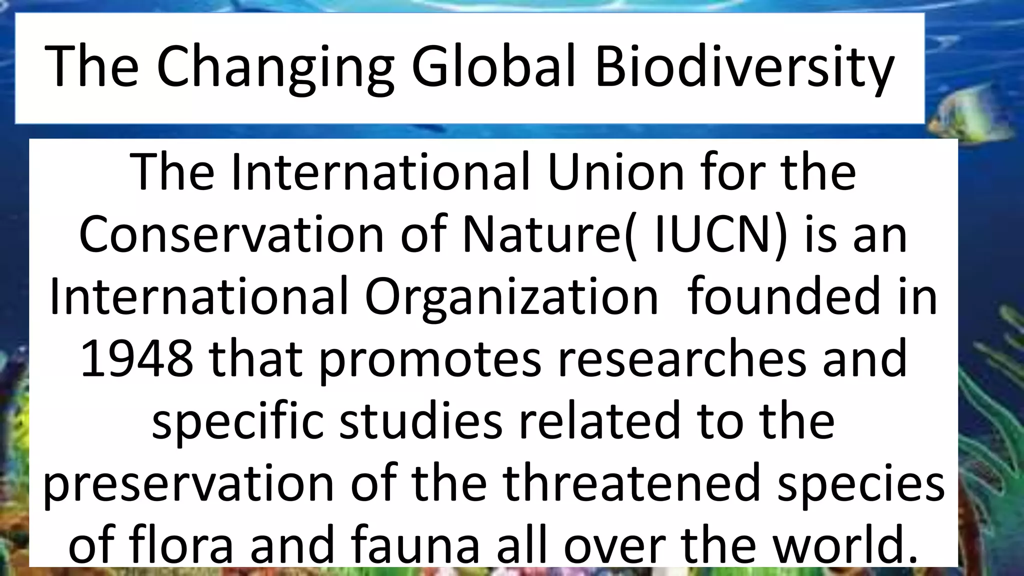 Biodiversity and evolution | PPTX