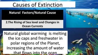 Biodiversity and evolution | PPTX