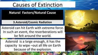 Biodiversity and evolution | PPTX
