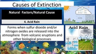 Biodiversity and evolution | PPTX
