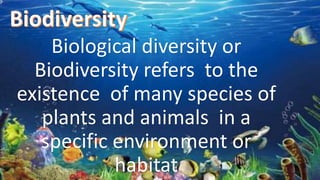 Biodiversity and evolution | PPTX