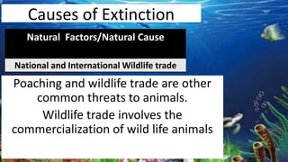 Biodiversity and evolution | PPTX