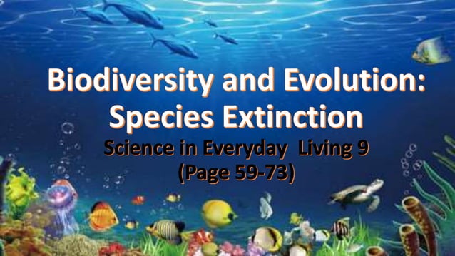 Biodiversity and evolution | PPT