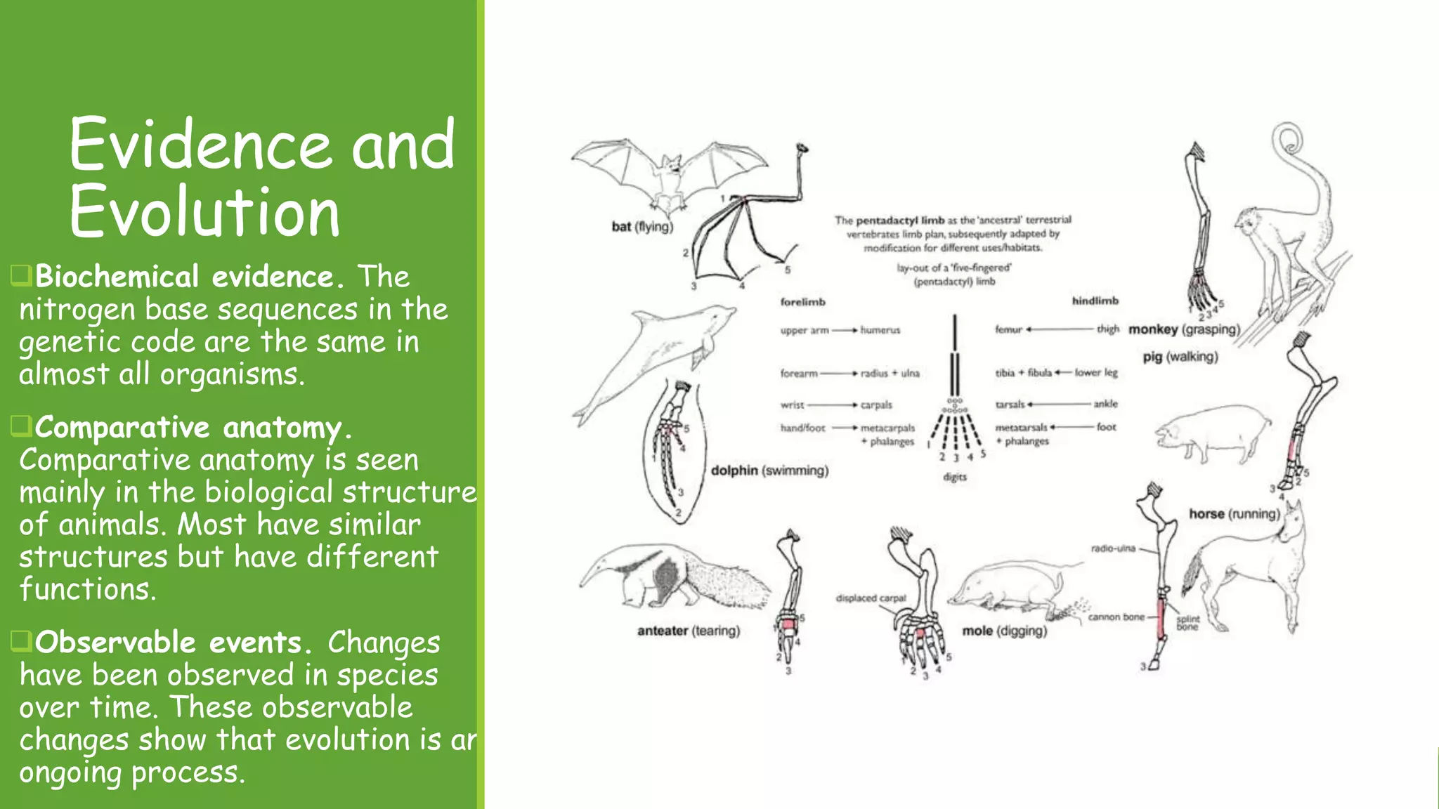 Biodiversity and Evolution.pptx