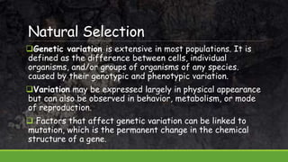 Biodiversity and Evolution.pptx