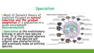 Biodiversity and Evolution.pptx