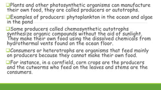 Biodiversity and Evolution.pptx