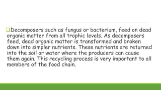 Biodiversity and Evolution.pptx
