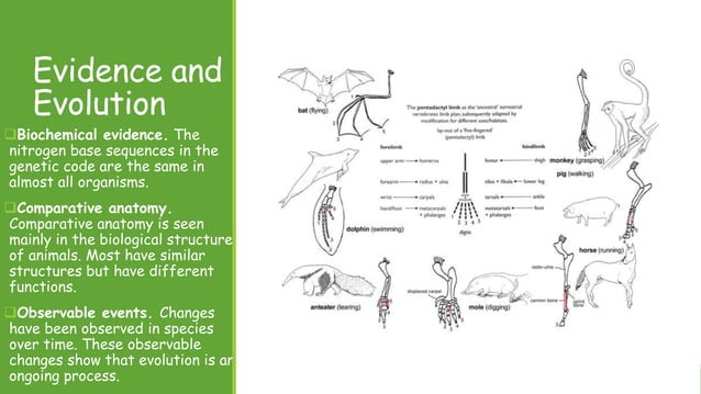 Biodiversity and Evolution.pptx