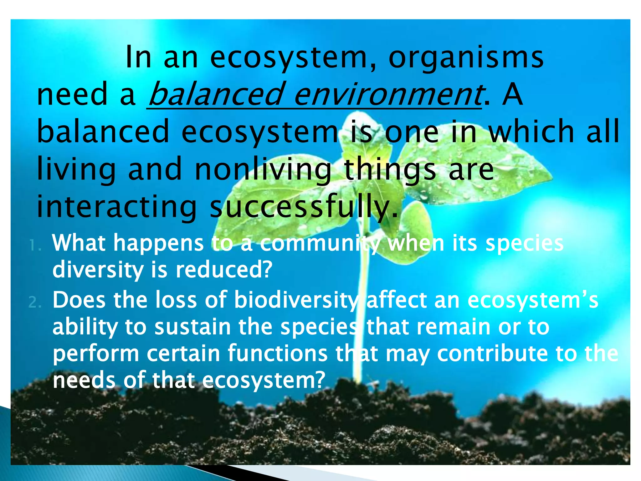 BIODIVERSITY AND EVOLUTION.ppt