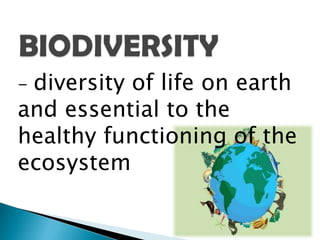 BIODIVERSITY AND EVOLUTION.ppt