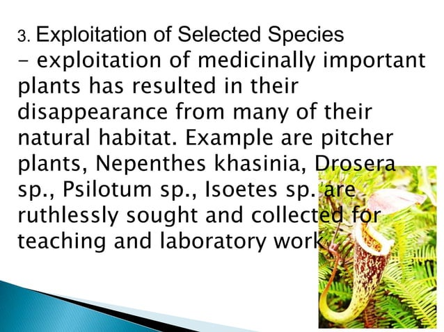 BIODIVERSITY AND EVOLUTION.ppt | Environment | Science