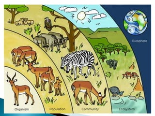 BIODIVERSITY AND EVOLUTION.ppt
