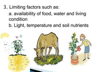 BIODIVERSITY AND EVOLUTION.ppt