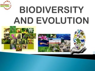 BIODIVERSITY AND EVOLUTION.ppt