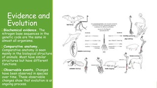 Biodiversity and Evolution.pptx