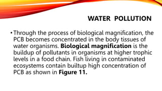 Biodiversity and Evolution.pptx