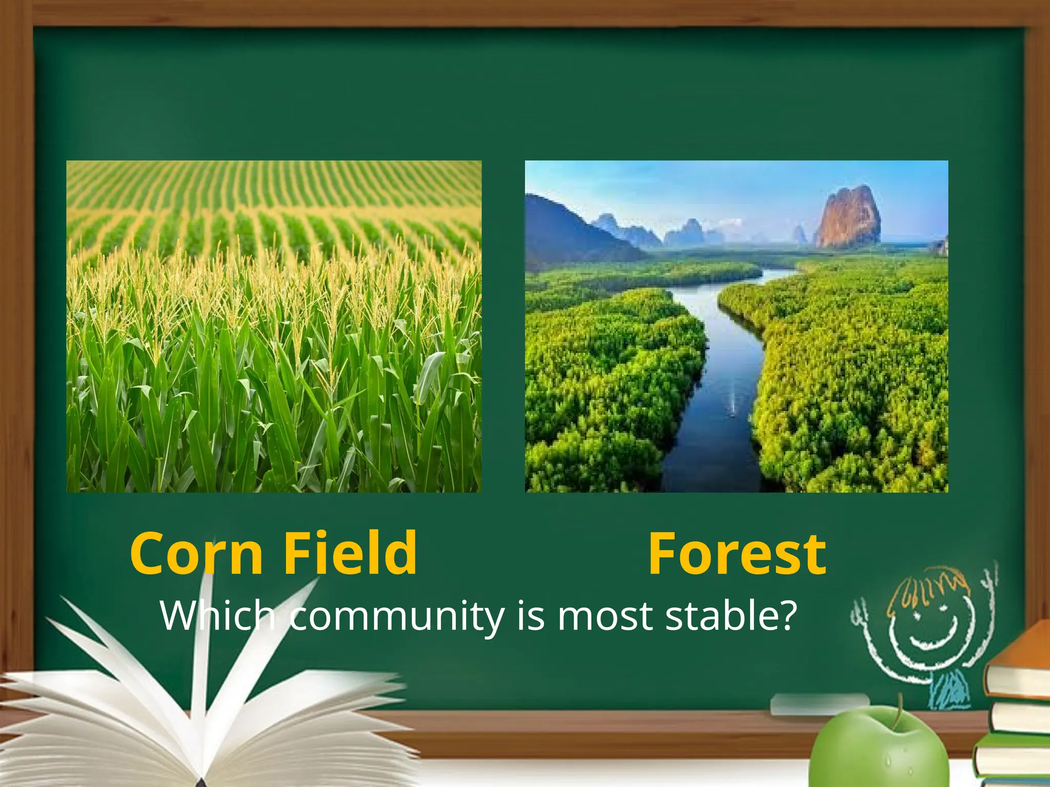 biodiversity and evolution of Grade 9 .pptx