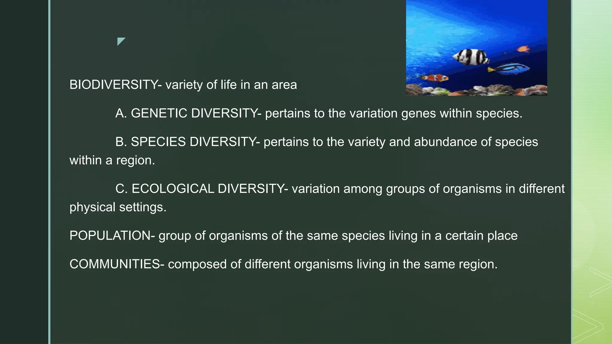 Philippine Animals: What are does considered Extinct and Endangered? | PPT