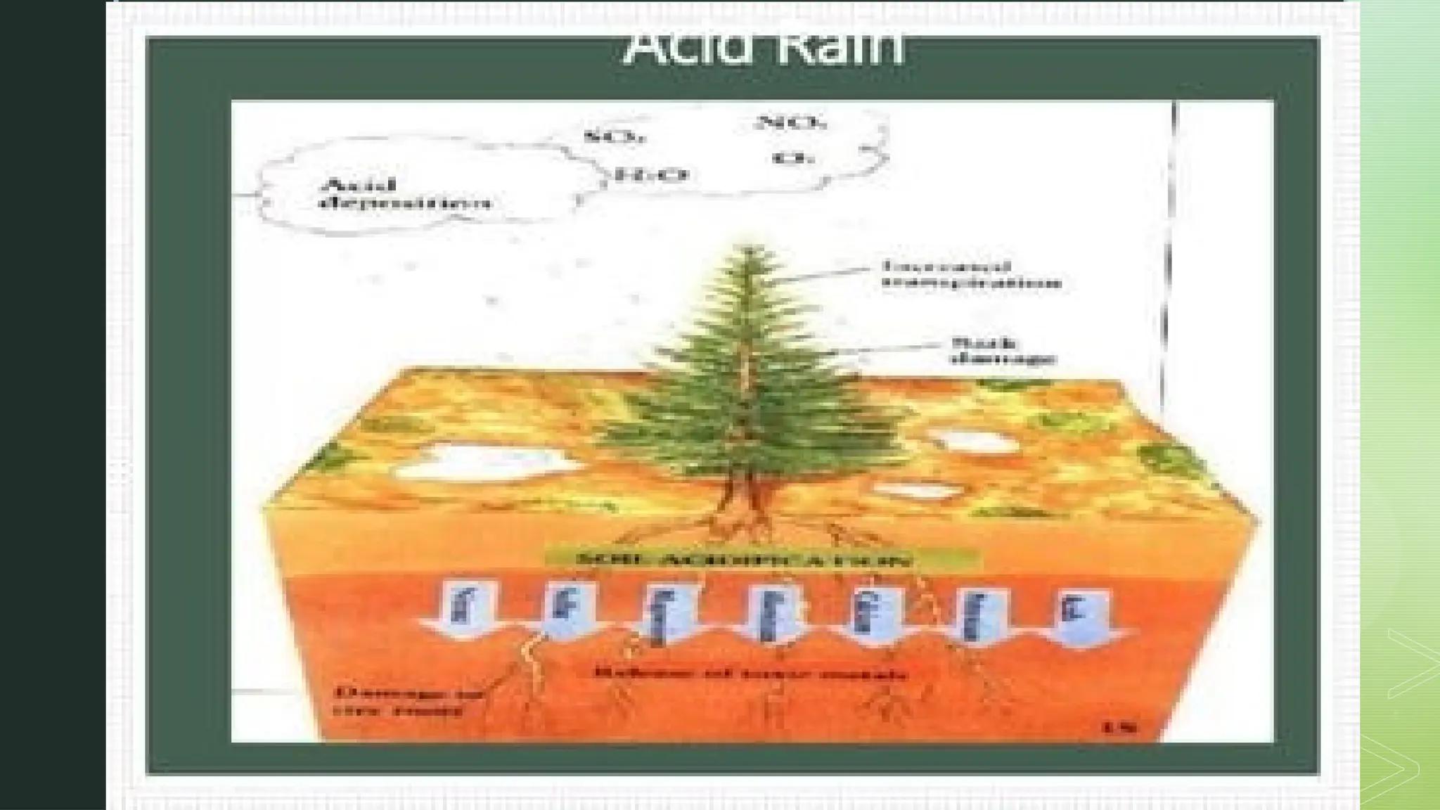 Philippine Animals: What are does considered Extinct and Endangered? | PPTX
