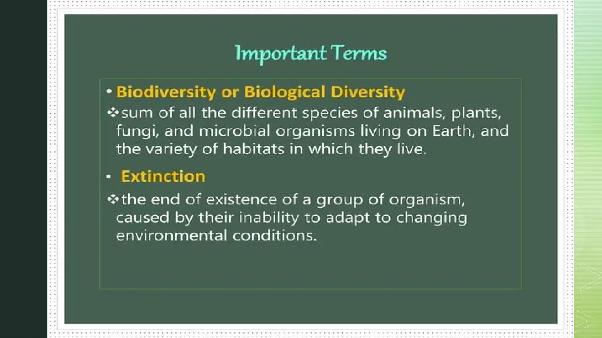 Philippine Animals: What are does considered Extinct and Endangered? | PPT