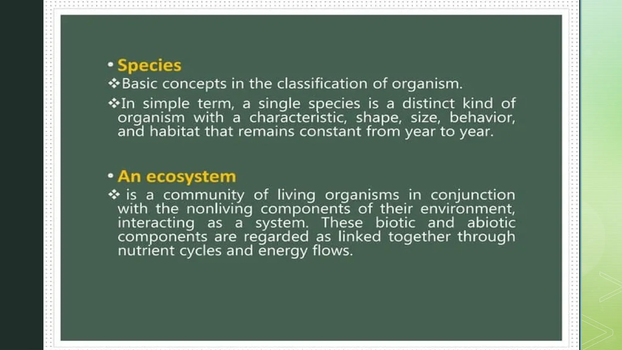 Philippine Animals: What are does considered Extinct and Endangered? | PPT