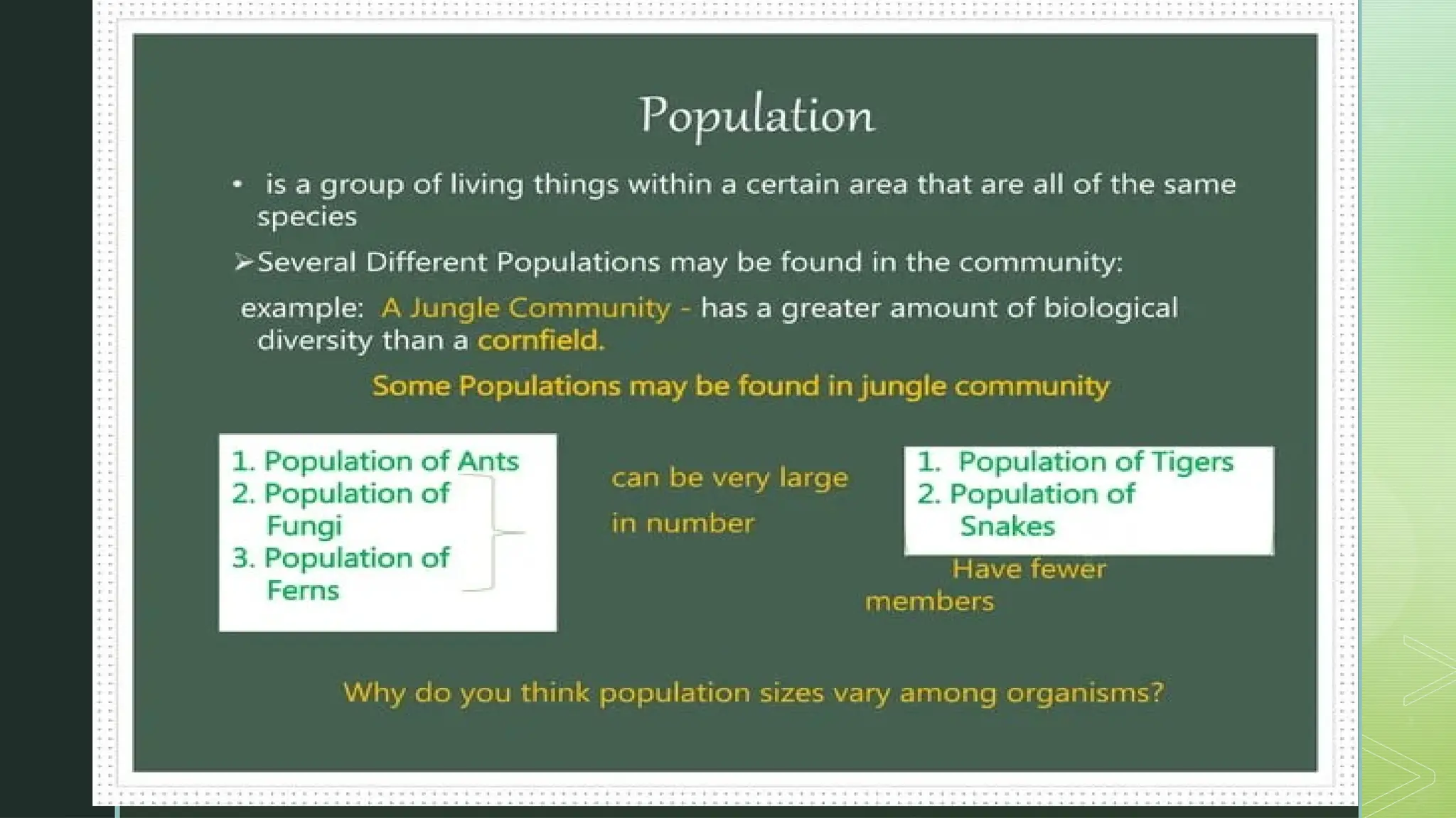Philippine Animals: What are does considered Extinct and Endangered? | PPT