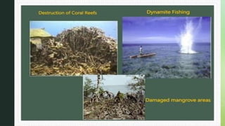 Philippine Animals: What are does considered Extinct and Endangered? | PPTX