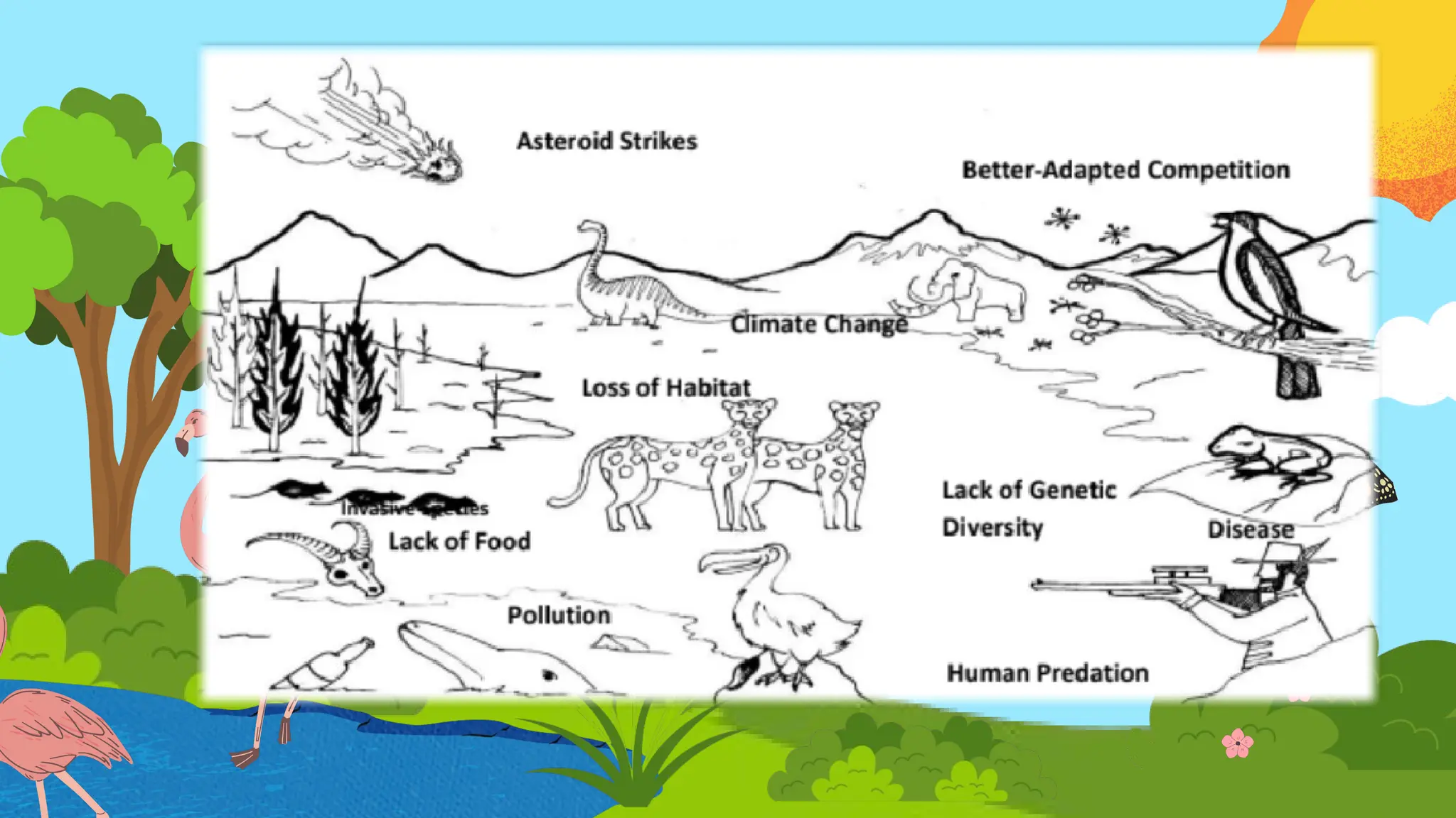 Biodiversity and Evolution of plants and animals.pptx