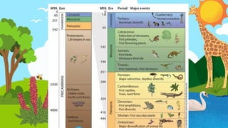 Biodiversity and Evolution of plants and animals.pptx