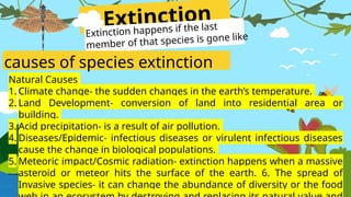 Biodiversity and Evolution of plants and animals.pptx