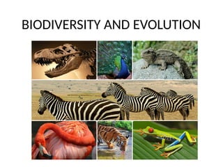 biodiversity and Evolution.pptx its function and characteristics | PPT