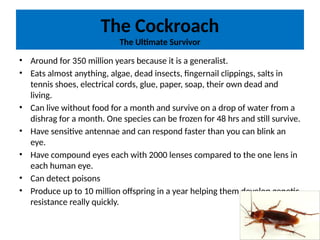 biodiversity and Evolution.pptx its function and characteristics | PPT