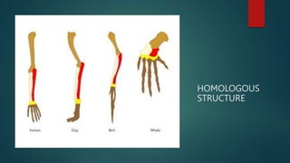 BIODIVERSITY AND EVOLUTION science topic.pptx