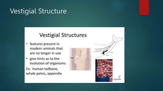 BIODIVERSITY AND EVOLUTION science topic.pptx